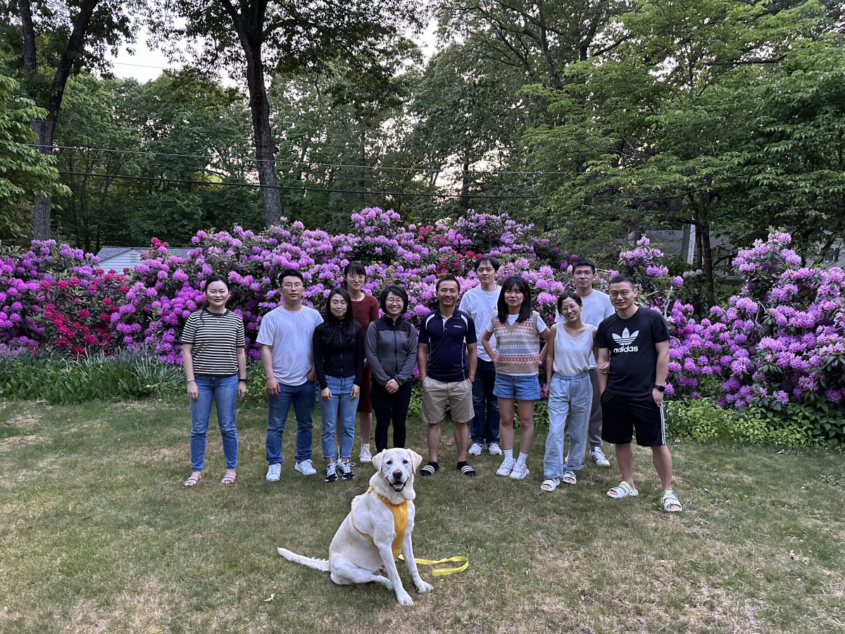 Galleries | Luo Research Group | University of Connecticut